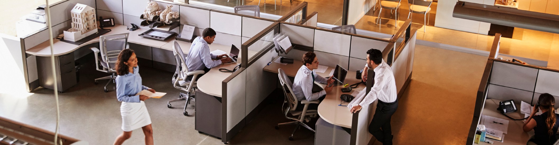 Equipo - Ingieneria informática e Ingieneria lingüística | DAIL Software